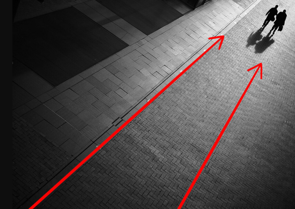 The Complete Photography Guide: Tips, Techniques, and Inspiration ...