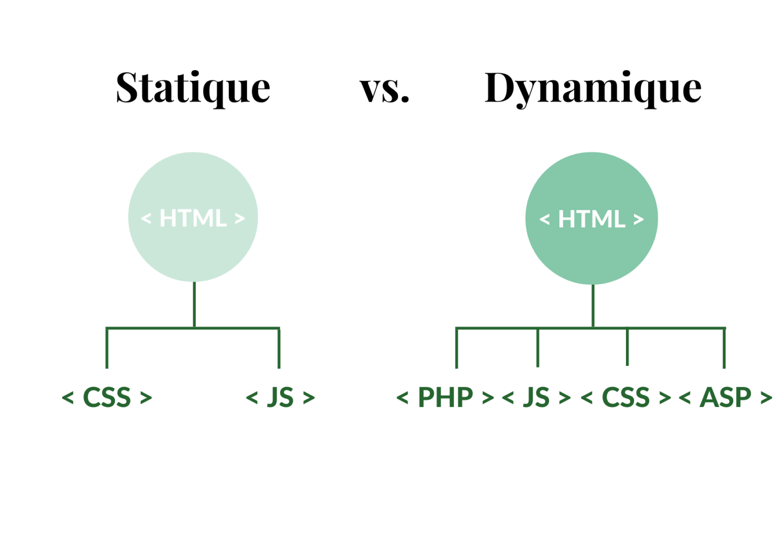 Site dynamique vs site Statique : Lequel choisir