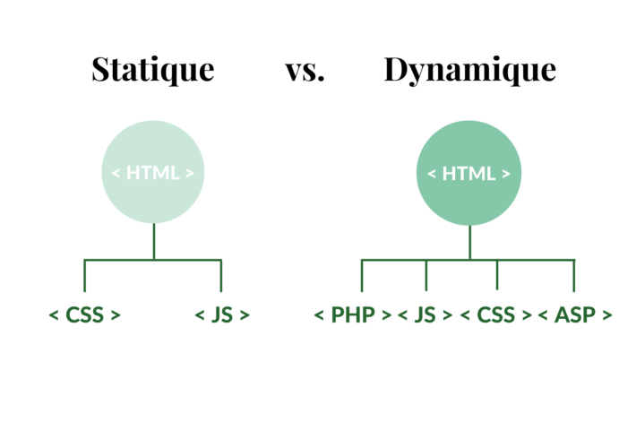 Site dynamique vs site Statique : Lequel choisir