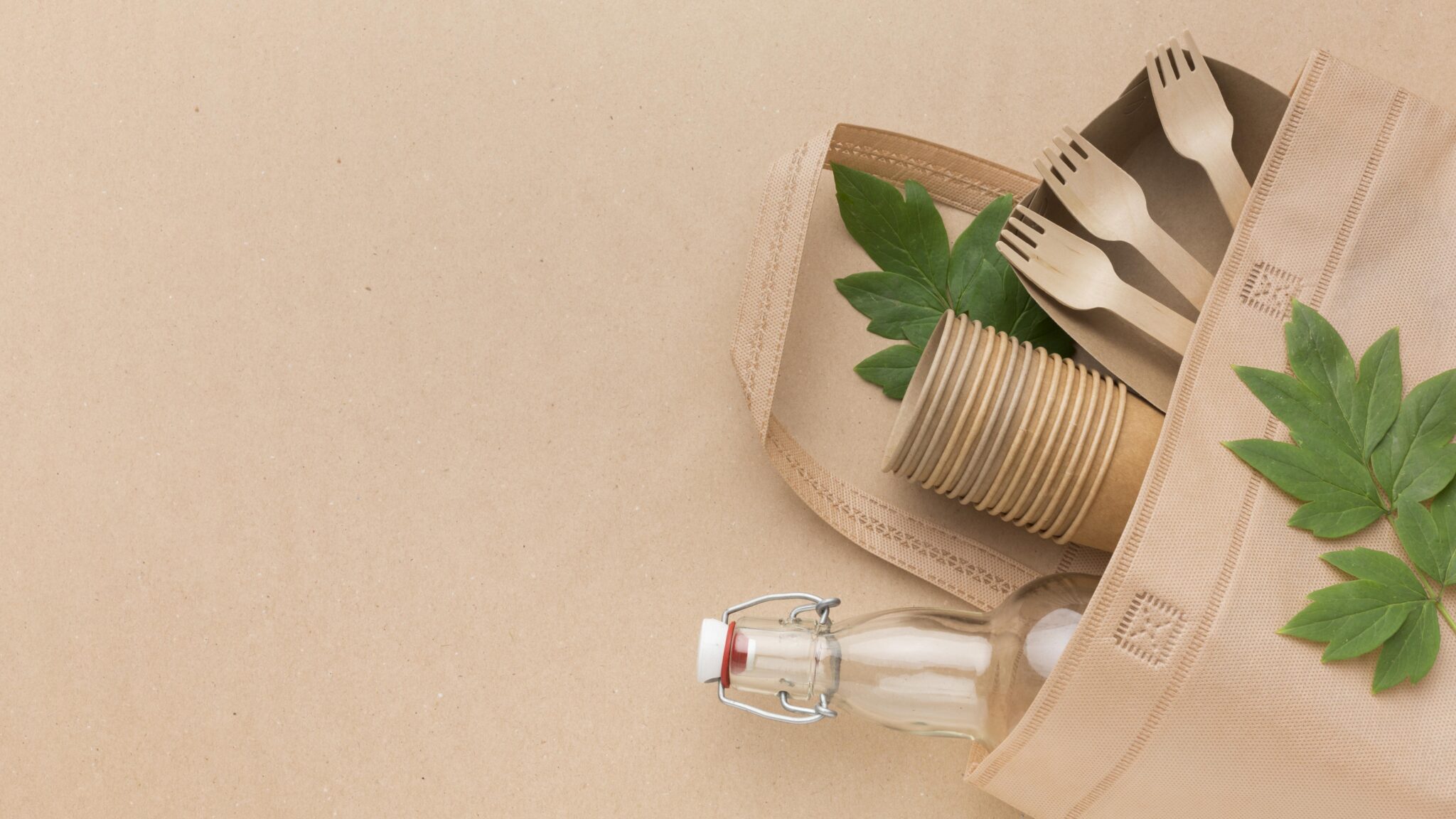 Packaging écologique : Le choix gagnant pour toute entreprise