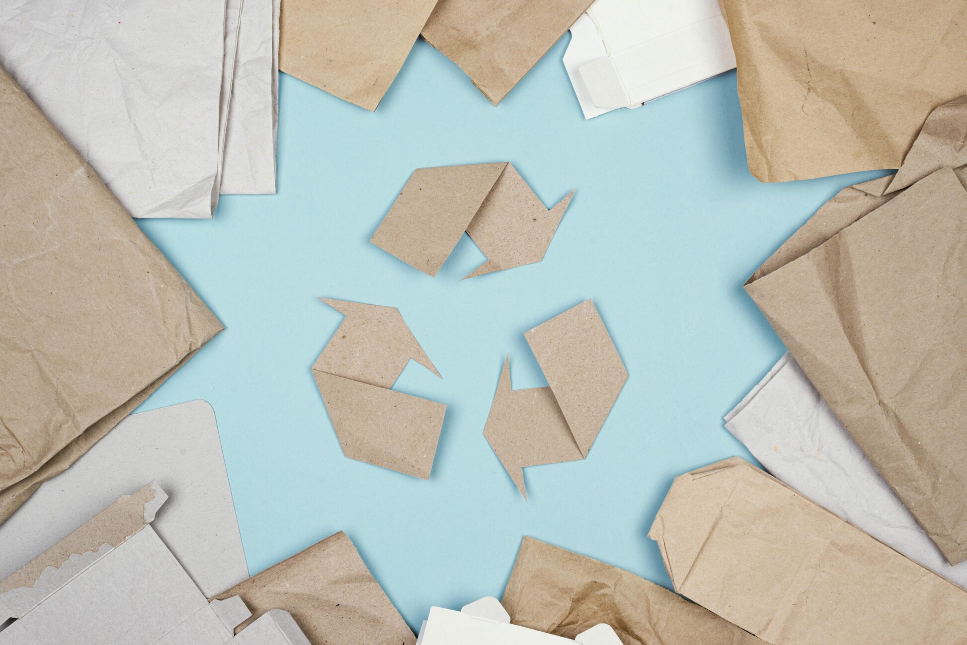 Packaging écologique : Le choix gagnant pour toute entreprise