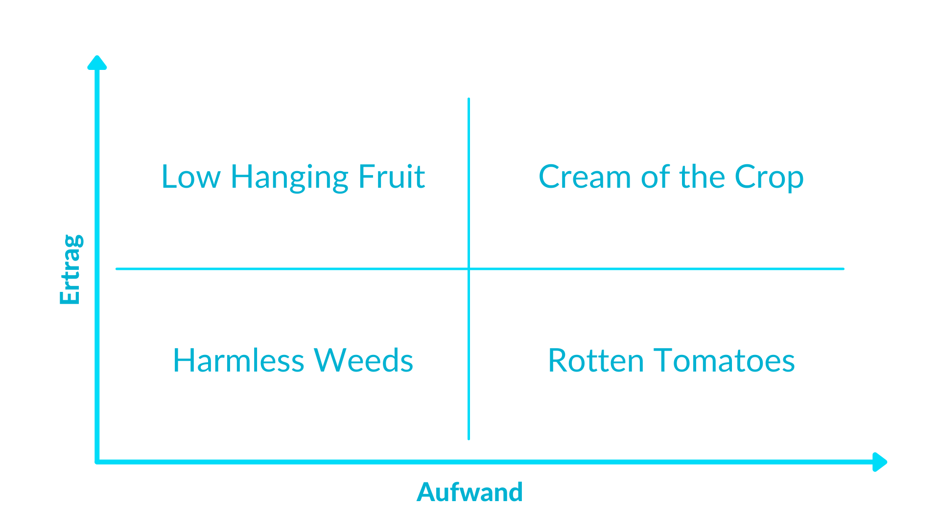 Low Hanging Fruits: Minimaler Aufwand, maximaler Erfolg
