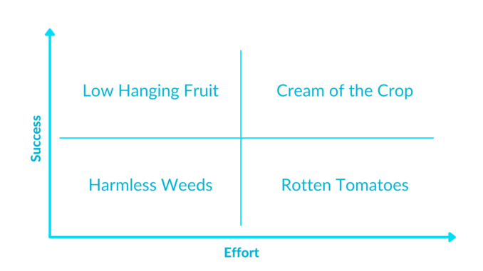 Low Hanging Fruit: Minimum Effort, Maximum Success for Your Business
